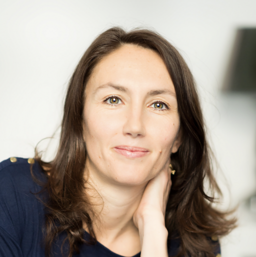 Fast Boundary Elements Methods for time-harmonic high-frequency wave propagation problems | Inria